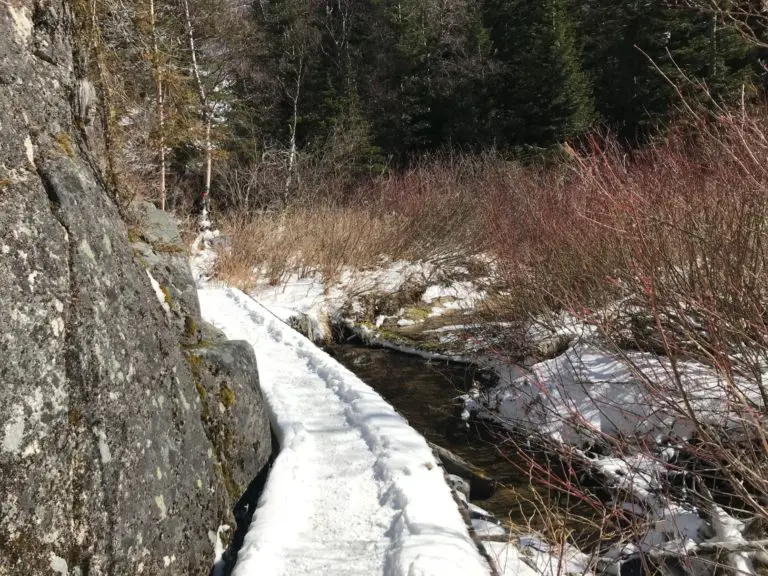 Lindeman & Greendrop Lake Hike – Chilliwack Provincial Park, BC – Rise ...
