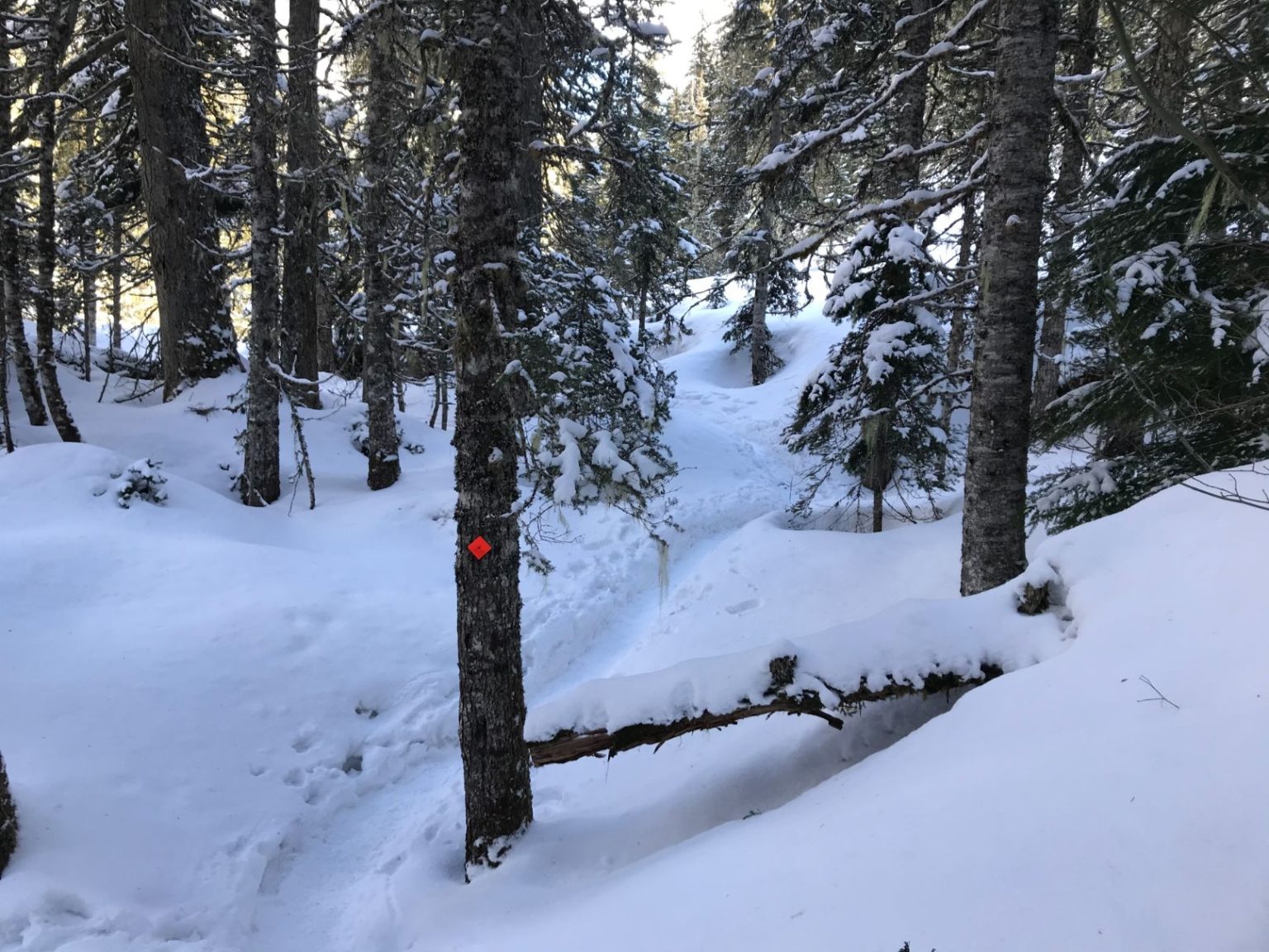 Lindeman & Greendrop Lake Hike – Chilliwack Provincial Park, BC – Rise ...