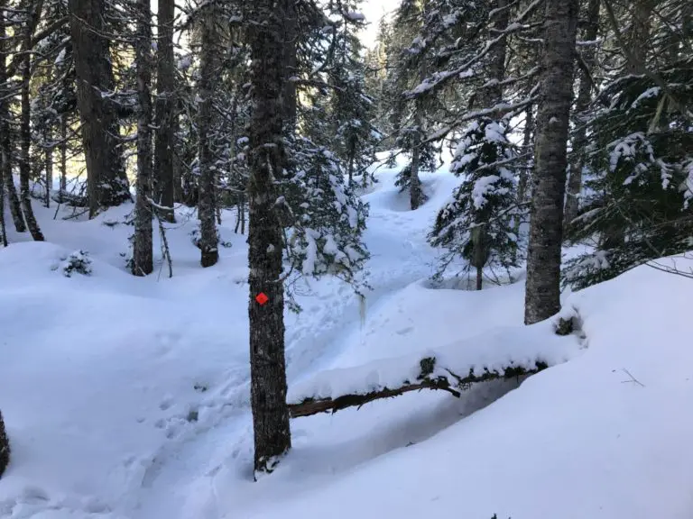 Lindeman & Greendrop Lake Hike – Chilliwack Provincial Park, BC – Rise ...