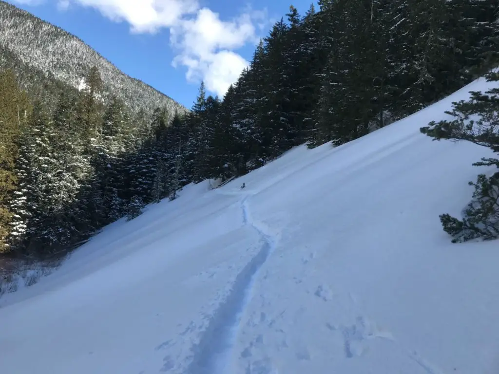 Lindeman & Greendrop Lake Hike – Chilliwack Provincial Park, BC – Rise ...