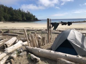 The Cape Scott Trail Hiking Guide, ‘Everything You Need to Know’ – Rise ...
