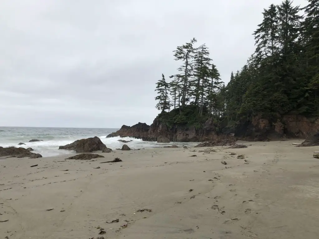 The Cape Scott Trail Hiking Guide, ‘Everything You Need to Know’ – Rise ...