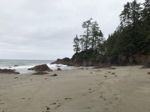 The Cape Scott Trail Hiking Guide, ‘Everything You Need to Know’ – Rise ...