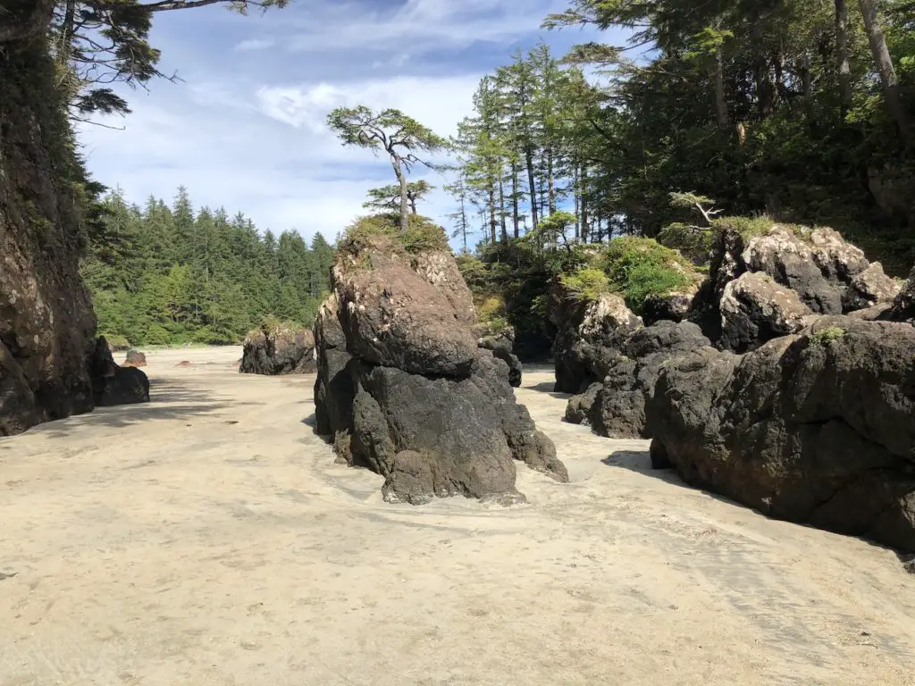 The Cape Scott Trail Hiking Guide, ‘Everything You Need to Know’ – Rise ...