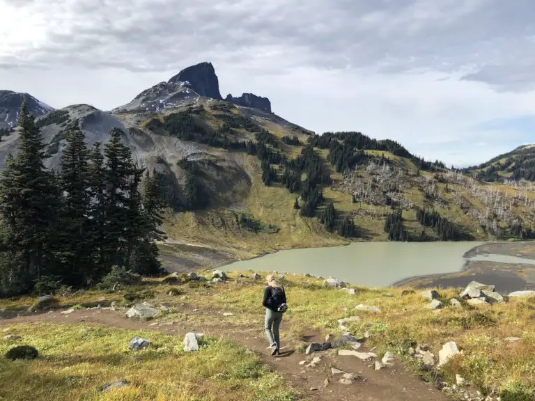 Panorama Ridge Trail | Day Hiking Guide – Rise & Alpine