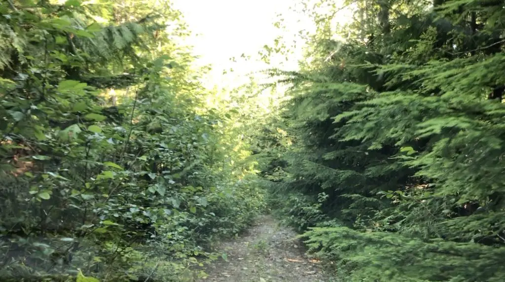 Mount Elizabeth, the Highest Hike in Kitimat, BC – Rise & Alpine