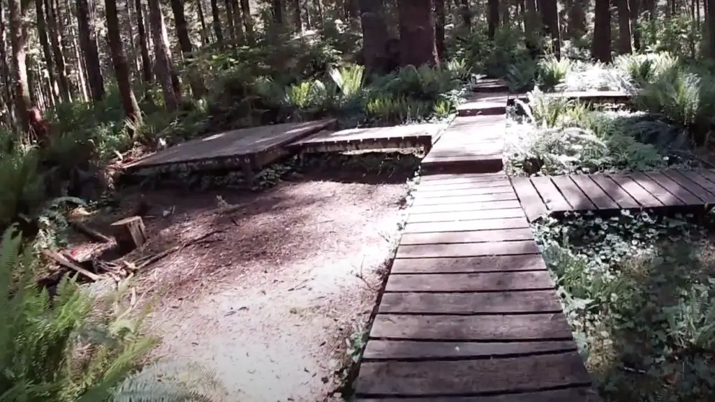 The Cape Scott Trail Hiking Guide, ‘Everything You Need to Know’ – Rise ...