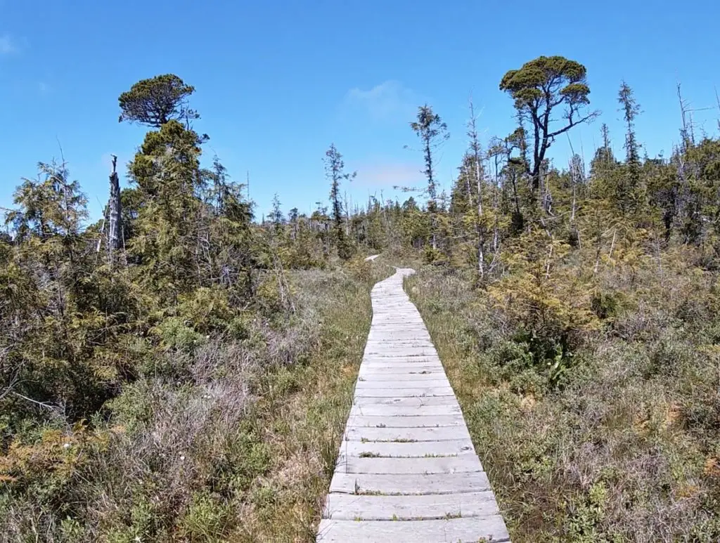 The Cape Scott Trail Hiking Guide, ‘Everything You Need to Know’ – Rise ...