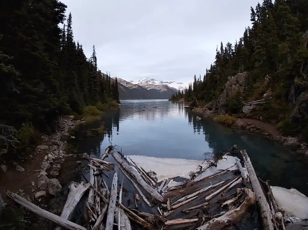Panorama Ridge Trail | Day Hiking Guide – Rise & Alpine