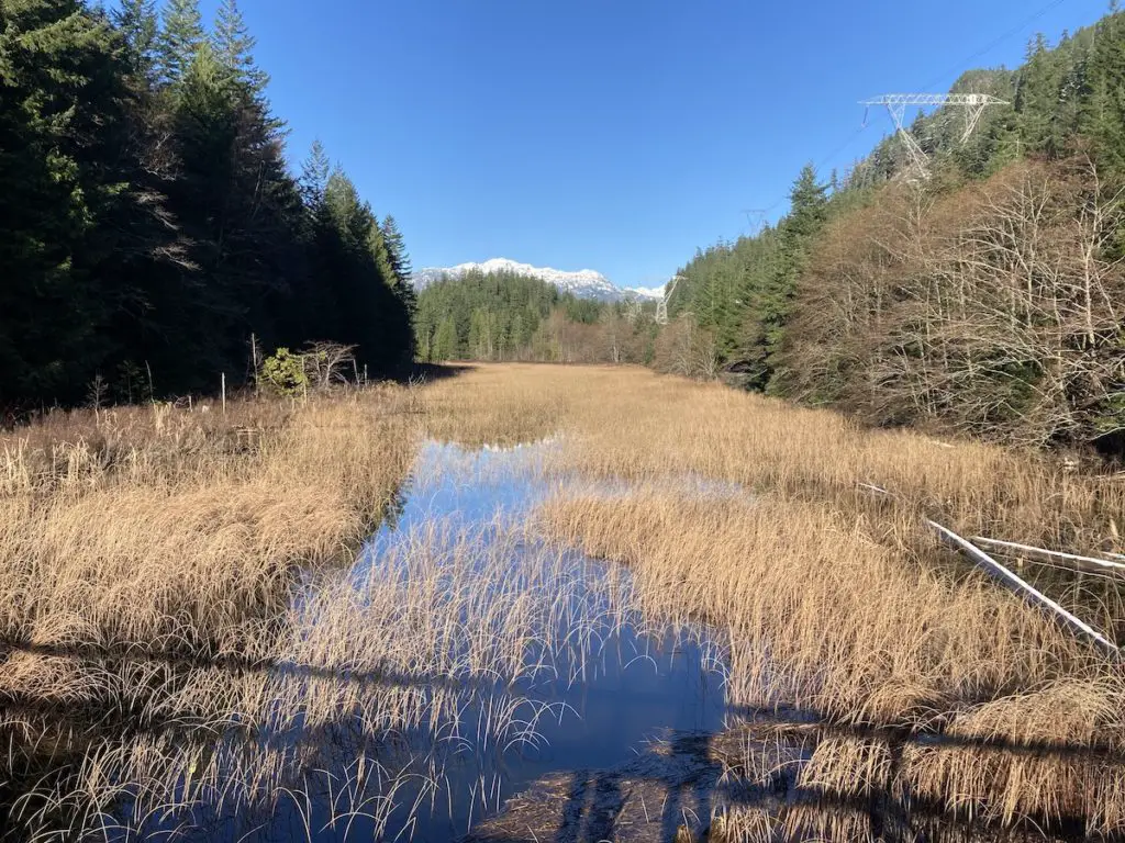 Brohm Lake Loop & Tantalus Viewpoint Hike, Squamish BC – Rise & Alpine