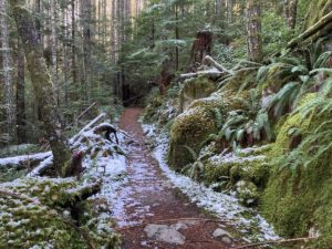 Brohm Lake Loop & Tantalus Viewpoint Hike, Squamish BC – Rise & Alpine
