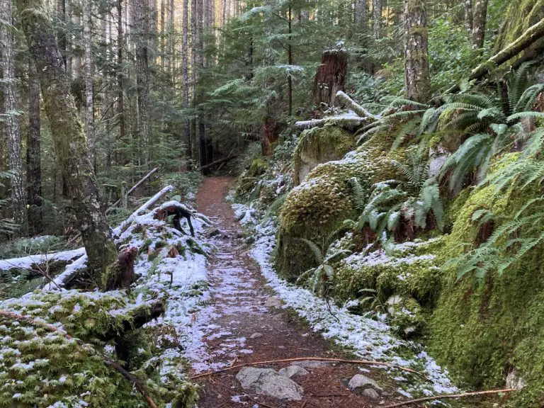 Brohm Lake Loop & Tantalus Viewpoint Hike, Squamish BC – Rise & Alpine