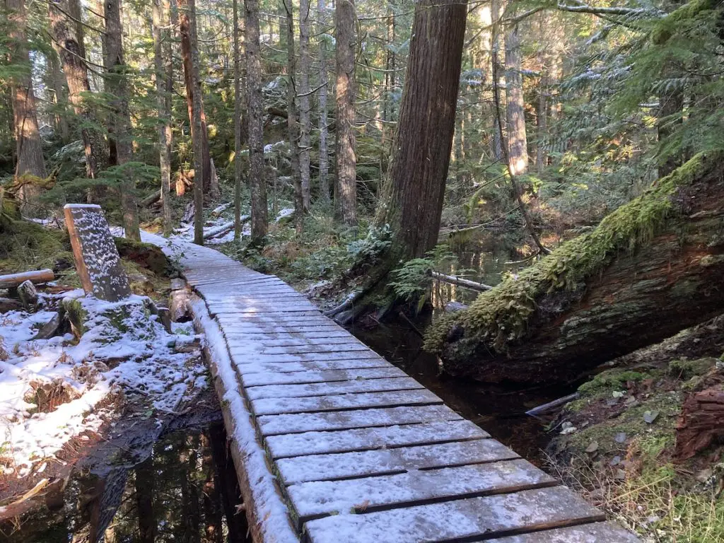 Brohm Lake Loop & Tantalus Viewpoint Hike, Squamish BC – Rise & Alpine
