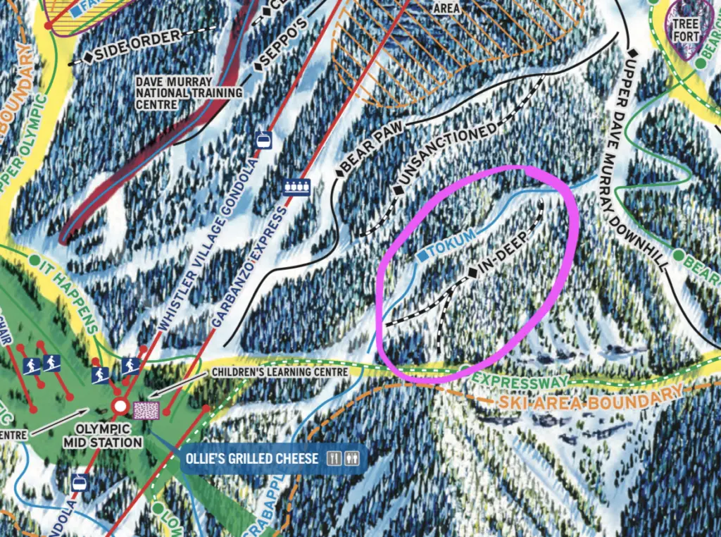 Whistler’s 14 Best Tree Skiing Runs – Rise & Alpine