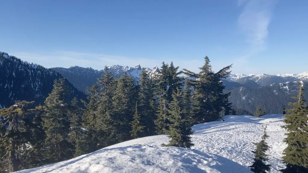 Hollyburn Peak Hiking, Snowshoe & Skiing Guide | Cypress Provincial ...