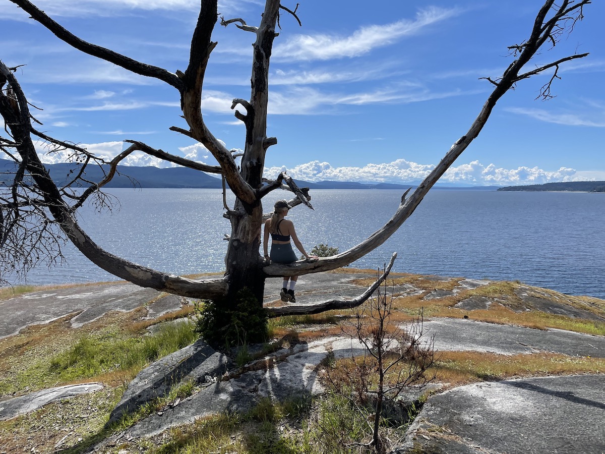 The 5 Best Easy Hikes in Powell River, BC – Rise & Alpine