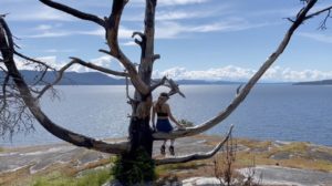 The 5 Best Easy Hikes in Powell River, BC – Rise & Alpine