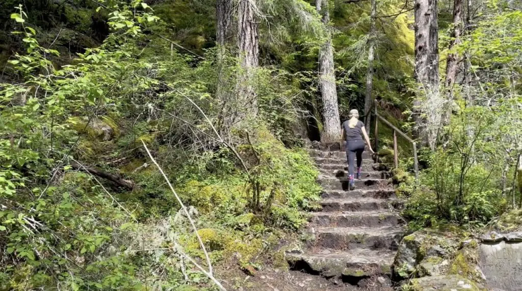 The 5 Best Easy Hikes in Powell River, BC – Rise & Alpine