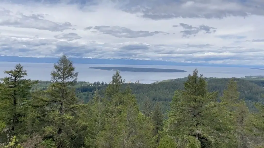 The 5 Best Easy Hikes in Powell River, BC – Rise & Alpine