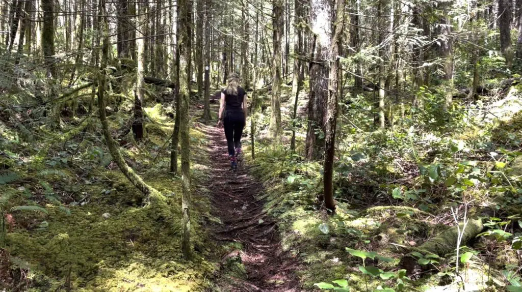 The 5 Best Easy Hikes in Powell River, BC – Rise & Alpine