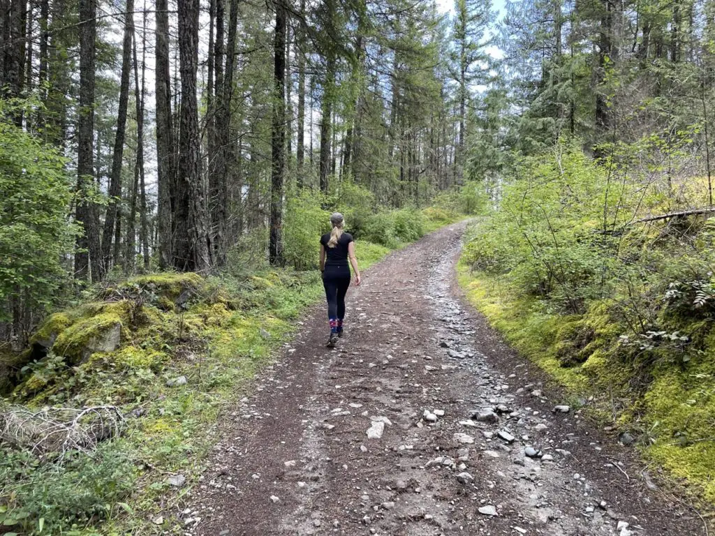 The 5 Best Easy Hikes in Powell River, BC – Rise & Alpine