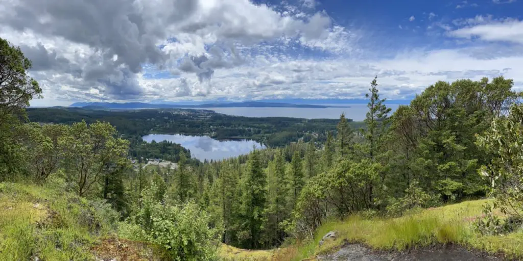 The 5 Best Easy Hikes in Powell River, BC – Rise & Alpine