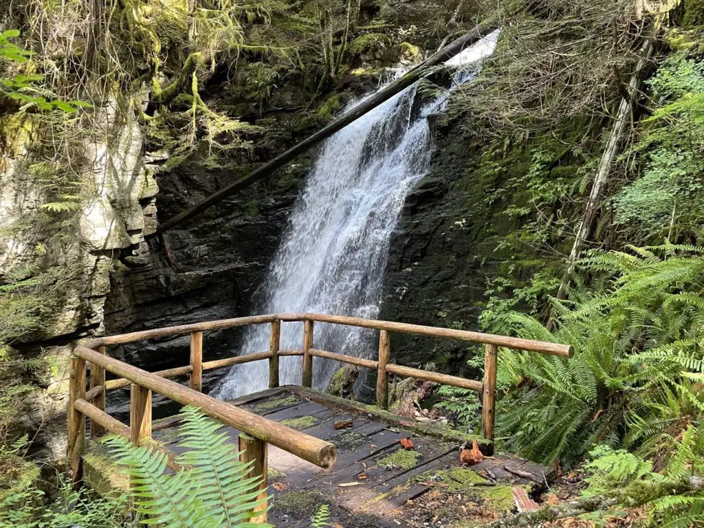 The 5 Best Easy Hikes in Powell River, BC – Rise & Alpine