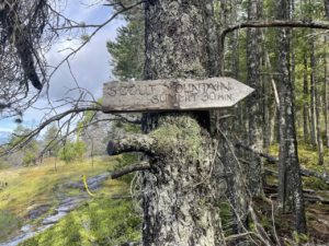 The 5 Best Easy Hikes in Powell River, BC – Rise & Alpine