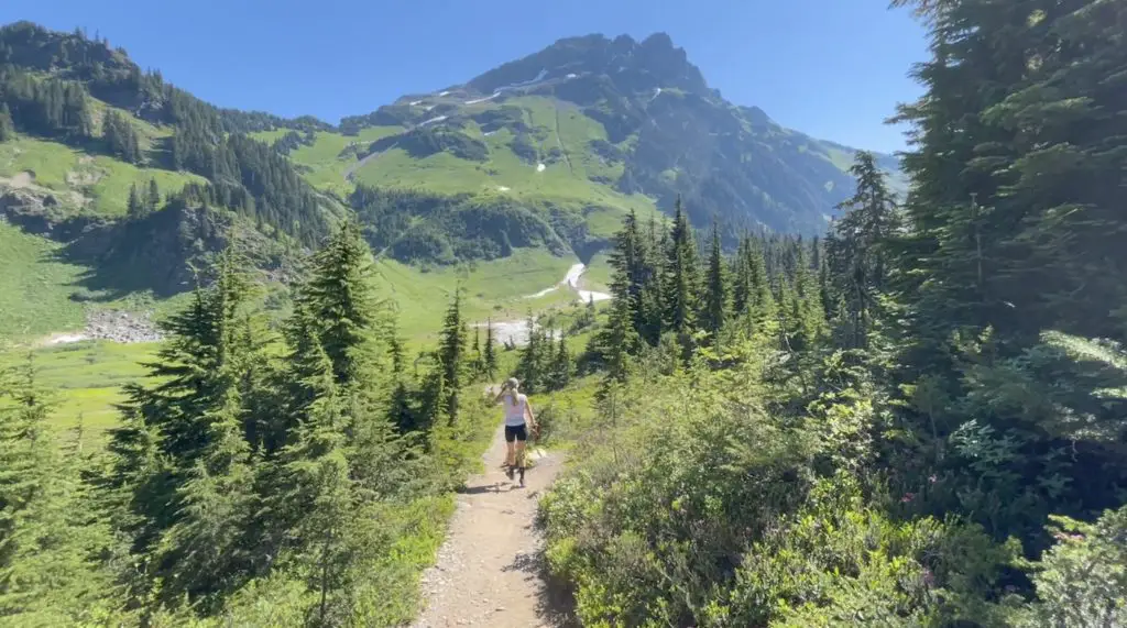 Cheam Peak Trail Map & Hiking Guide – Chilliwack, BC – Rise & Alpine