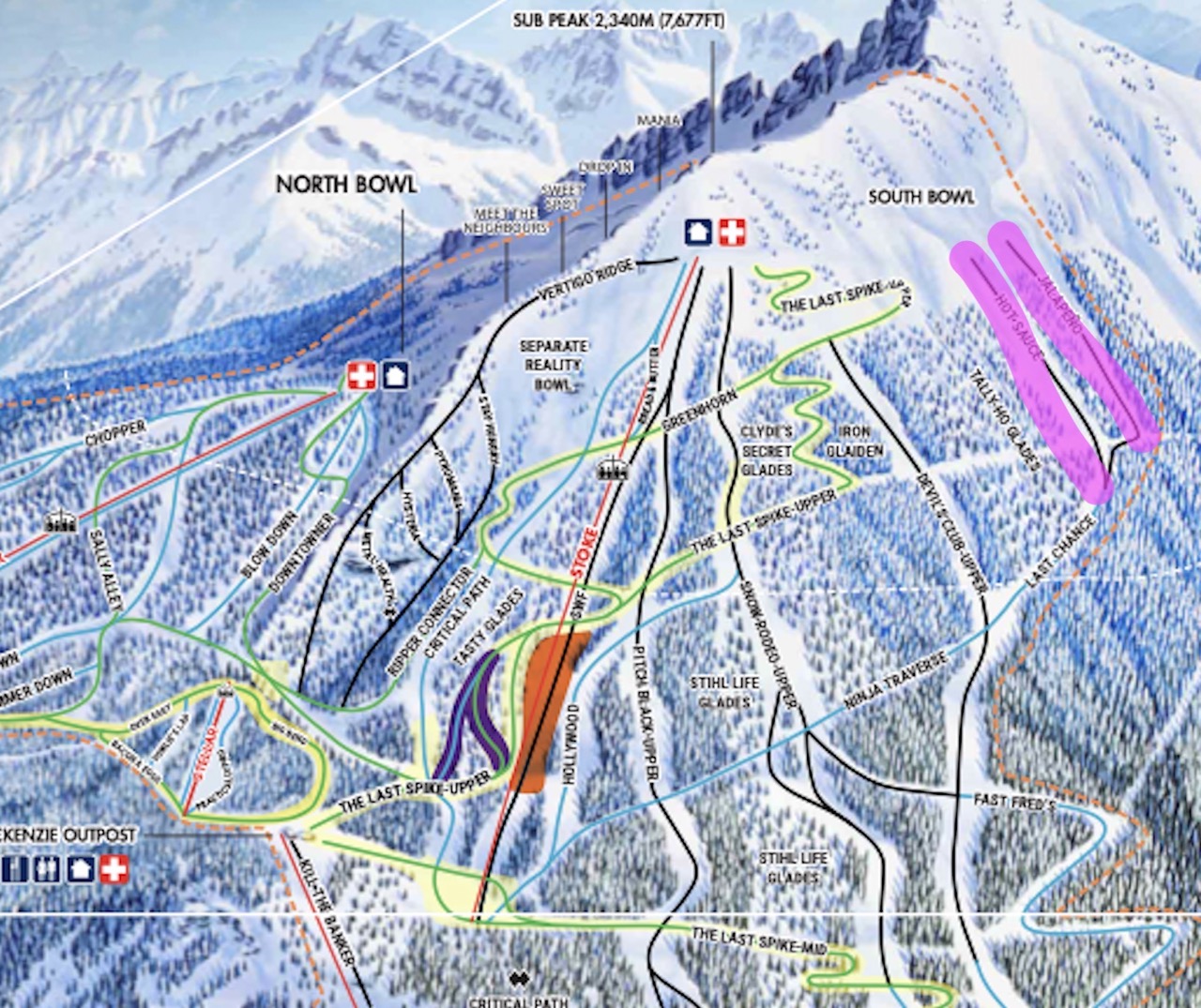 Revelstoke Mountain Resort Ski Review & Guide – Rise & Alpine